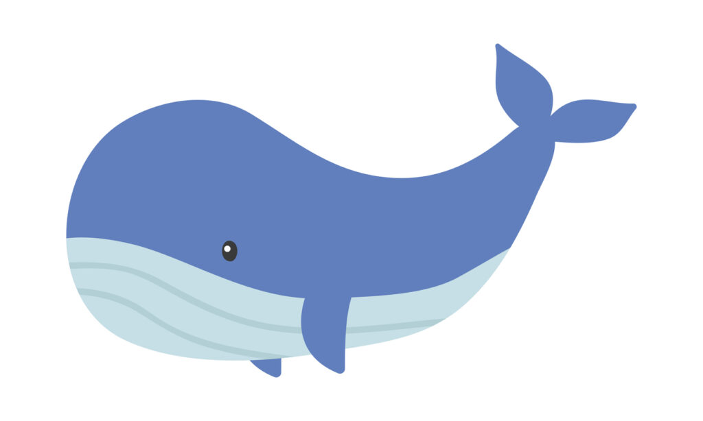 CHILDREN’S BIBLE GAME ON JONAH AND THE WHALE | Ministry to Youth